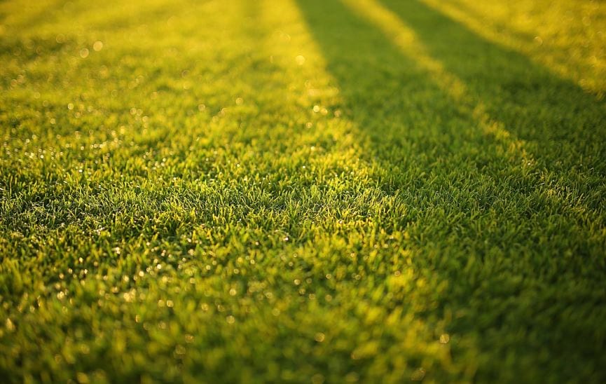 5 Ideas for a "Next-Level" Lawn Mowing Business