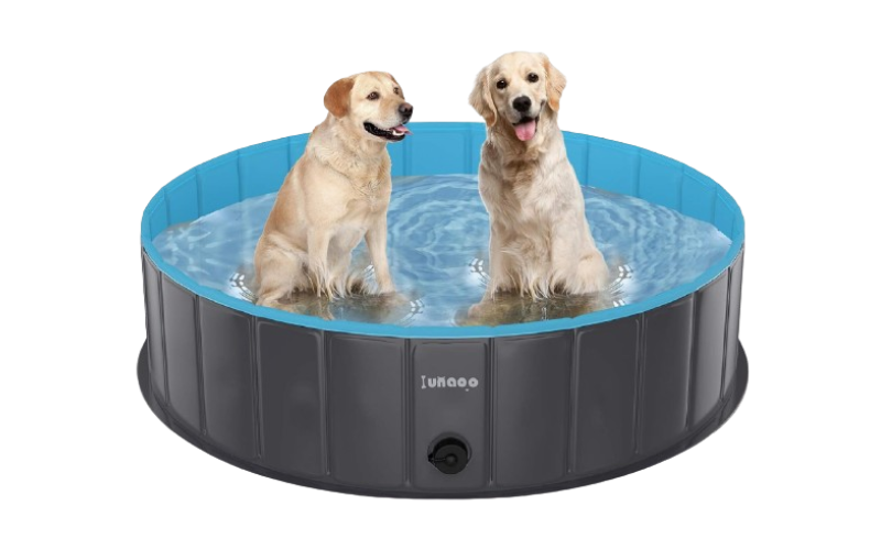 6 Best Above-Ground Pools in Australia (2024)