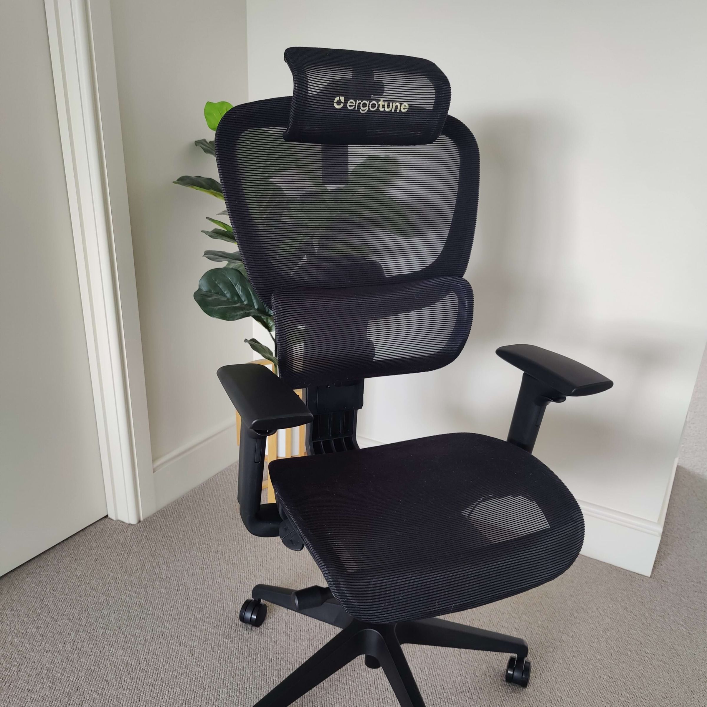 ErgoTune Joobie Review