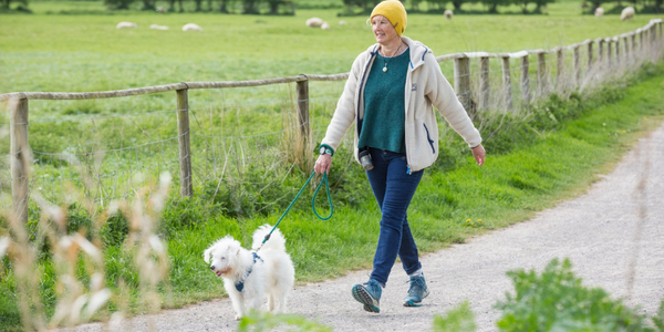 Walking With a Dog: How It Improves Your Physical Fitness
