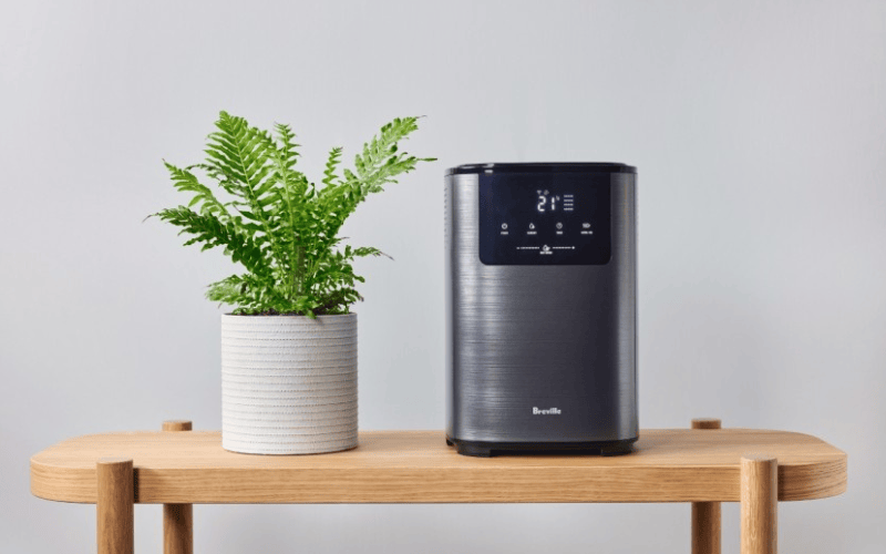 6 Best Humidifiers in New Zealand (2025)