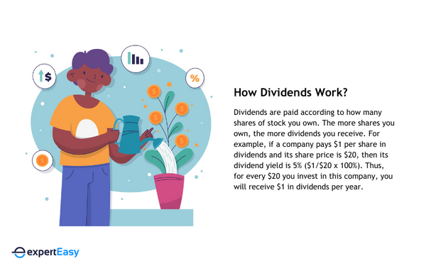Dividend Investing in Australia: Full Guide (2025)