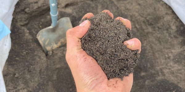 Topdressing a Lawn: Benefits and How to Do It