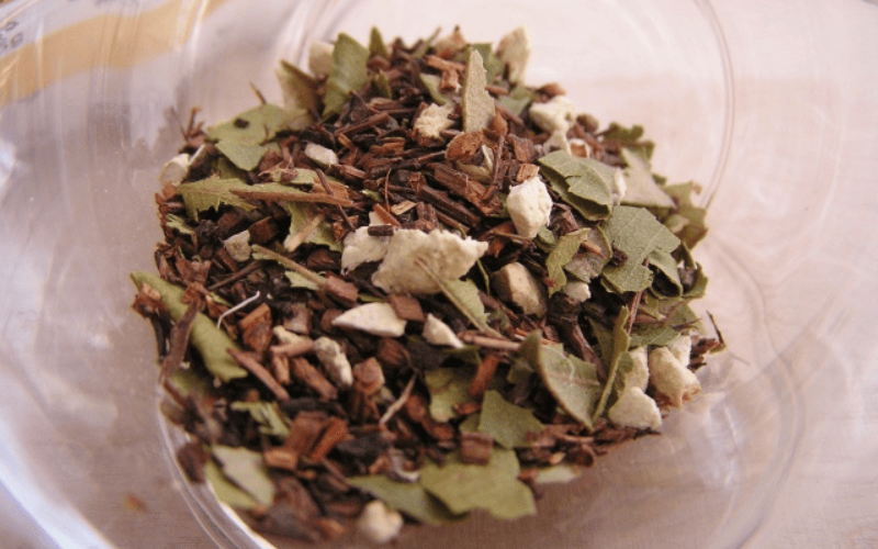 How to Grow and Care for Lemon Myrtle