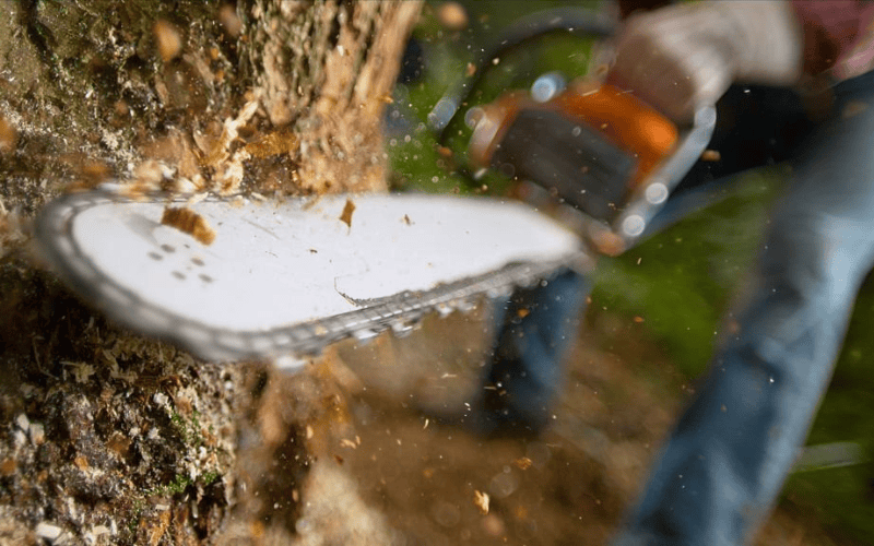 6 Best Chainsaws in Australia for 2025