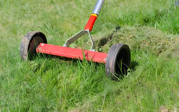 7 Best Lawn Scarifiers in Australia for 2025